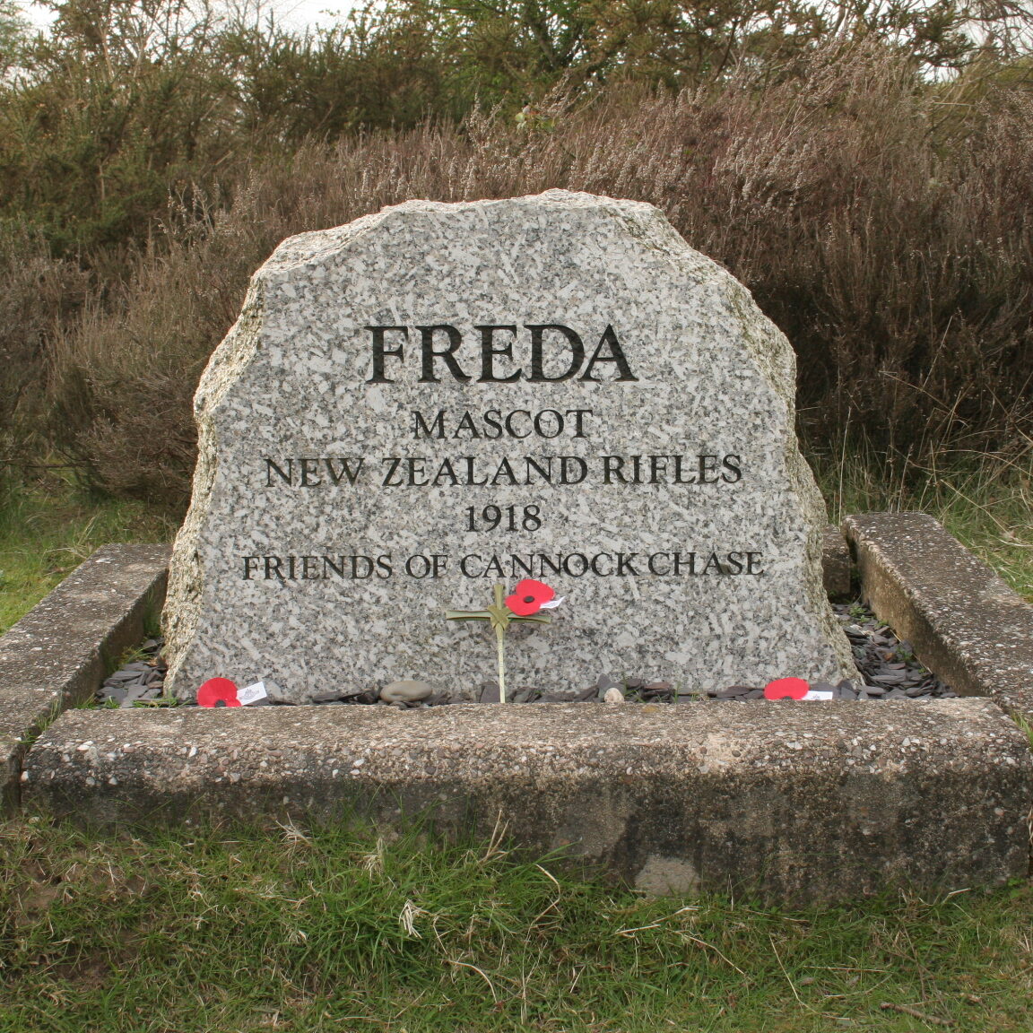Freda: WWI Military Mascot | National Army Museum